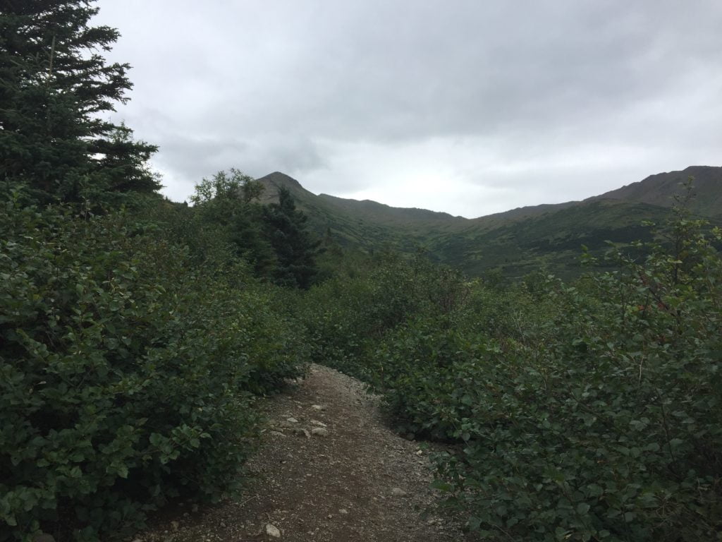 Near Point: A modest mountain with the best mud pit ever - Hiking ...