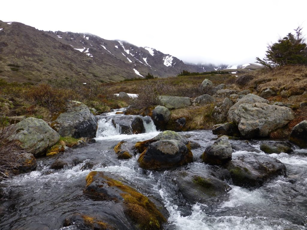 Hidden Lake: Take a leisurely tundra stroll to a private oasis - Hiking ...